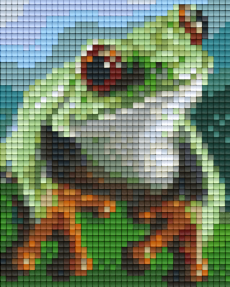 Frog – Pixel Art USA