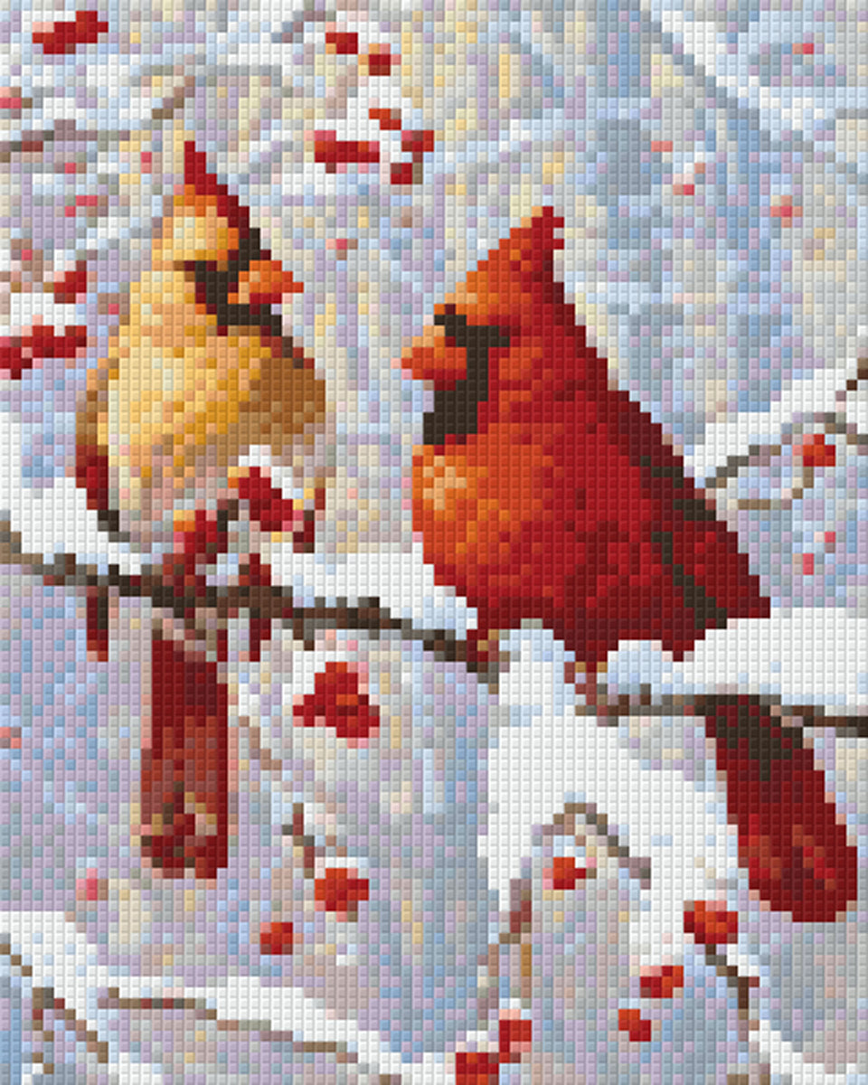Winter Birds – Pixel Art USA