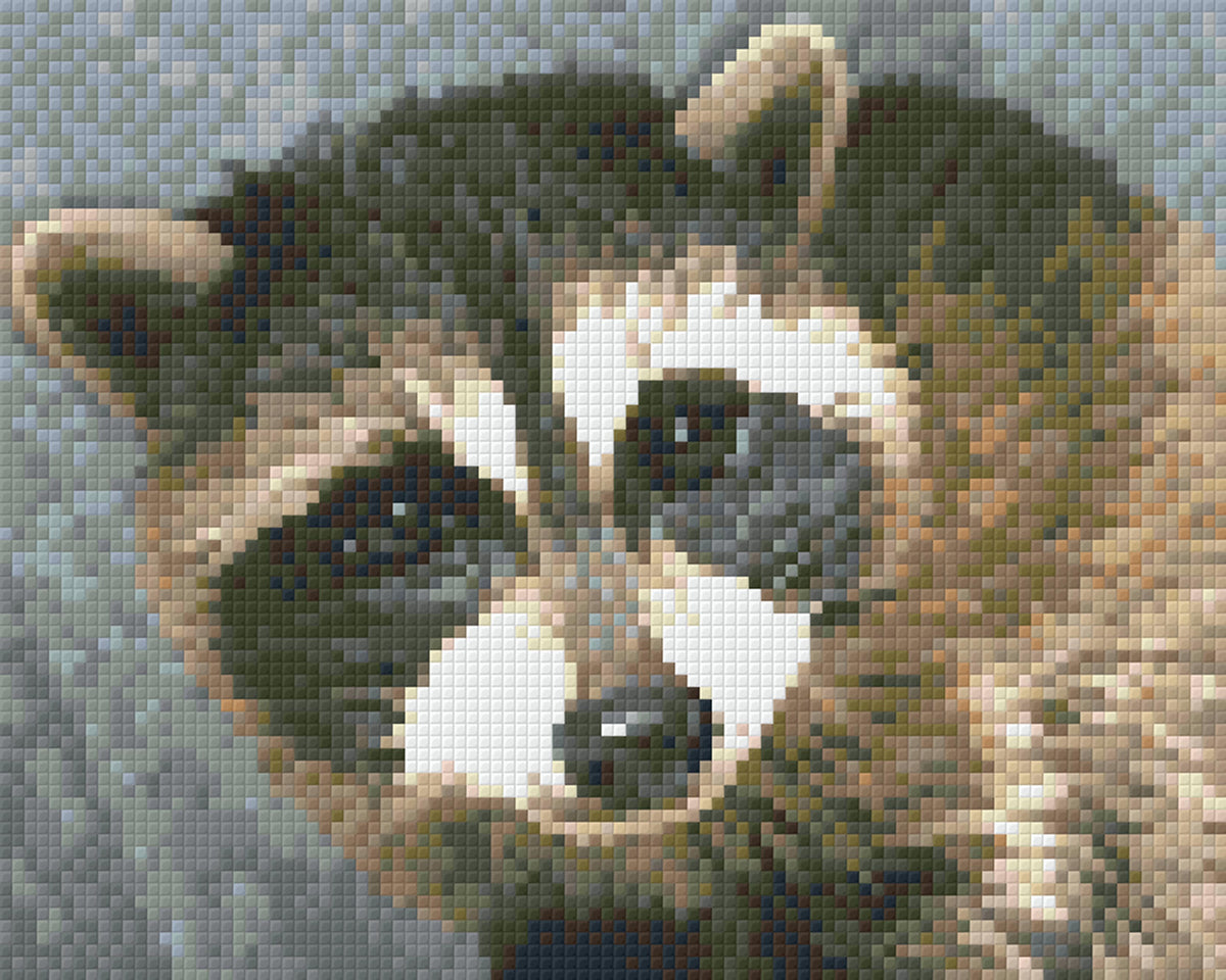 Cute Raccoon – Pixel Art USA