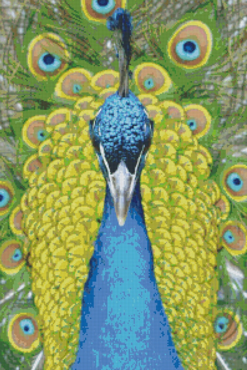 Peacock – Pixel Art USA