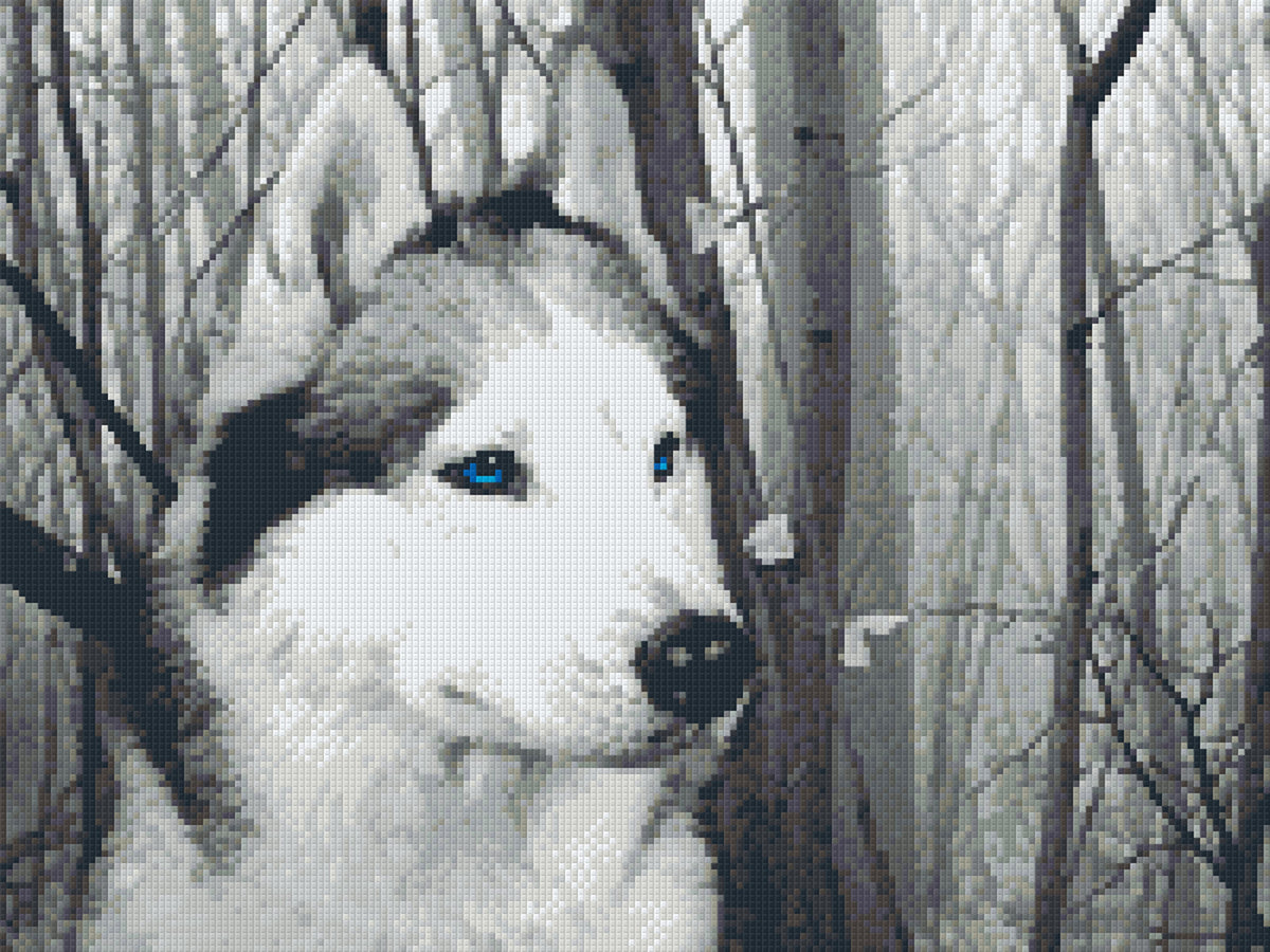 Siberian Husky – Pixel Art USA