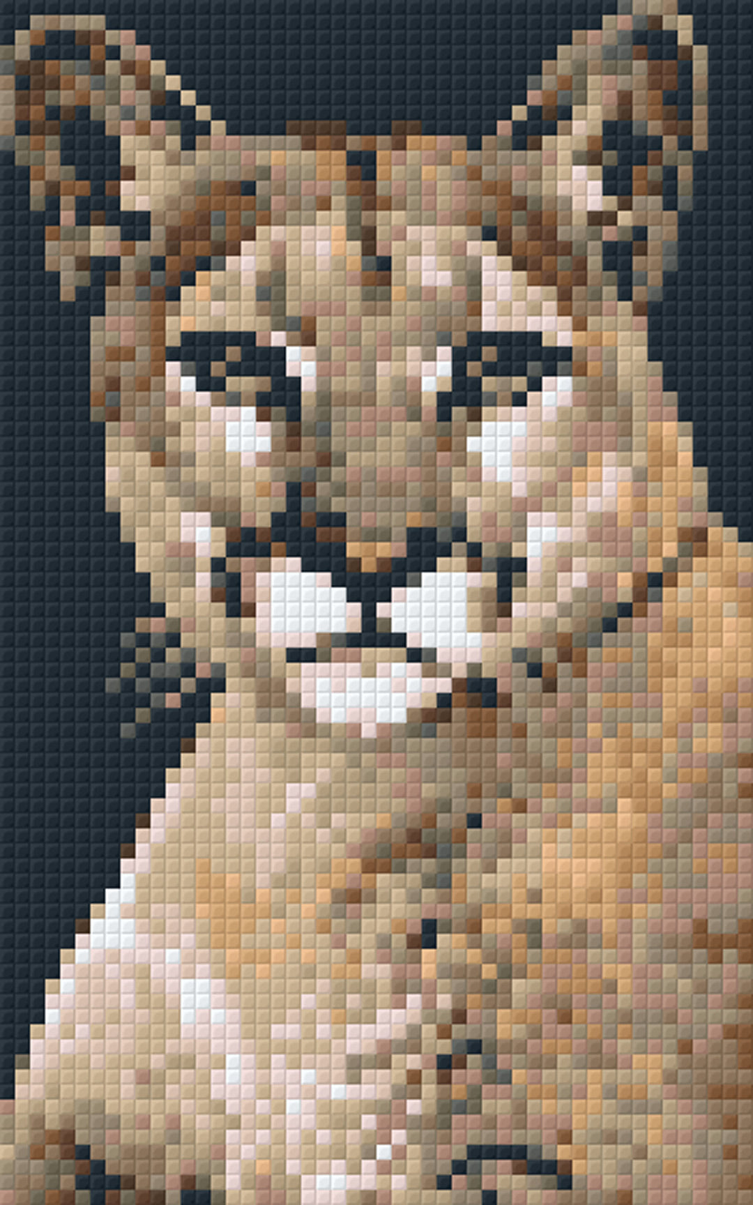 Cougar – Pixel Art USA