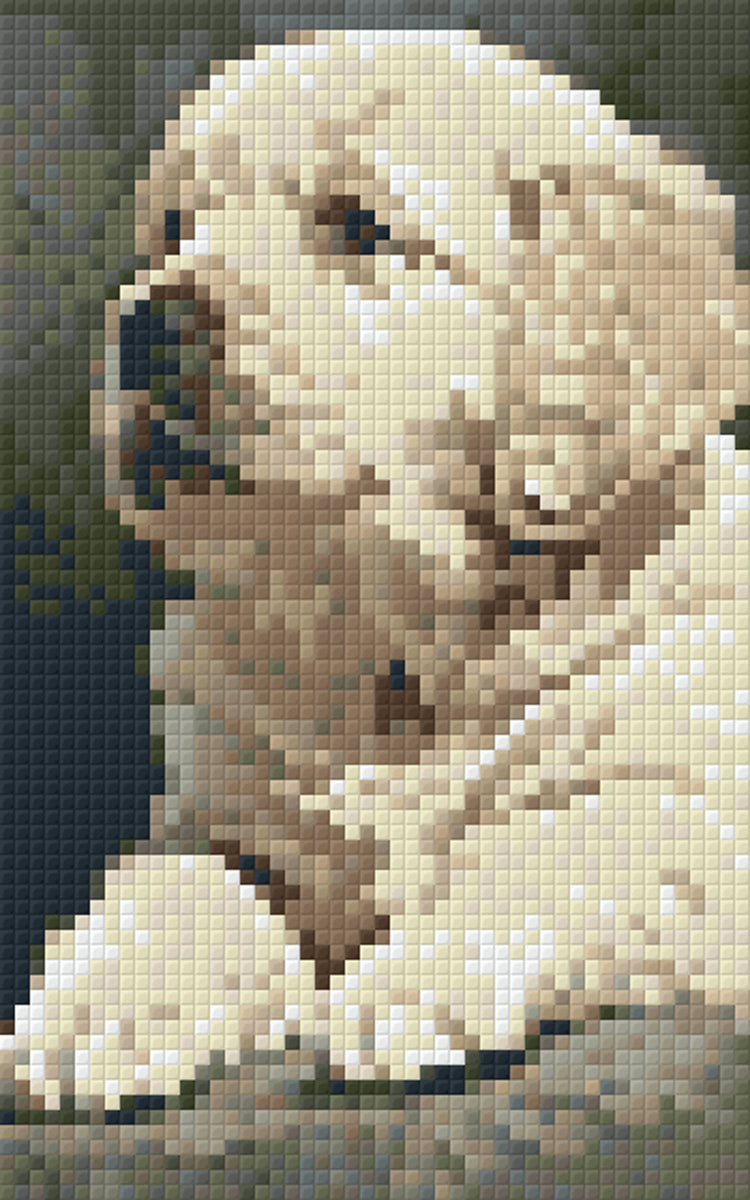 Golden Retriever Puppy – Pixel Art USA