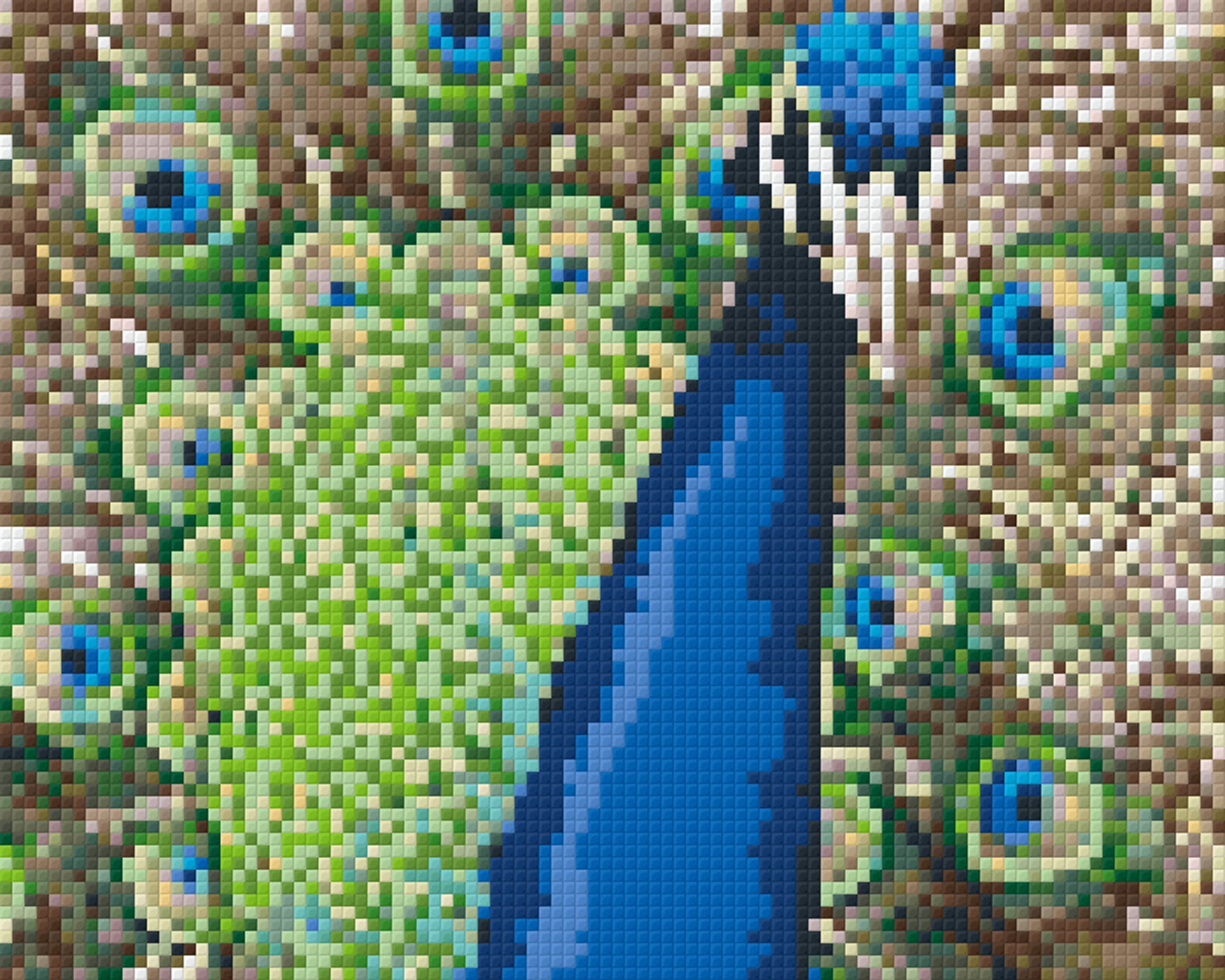 Peacock – Pixel Art USA