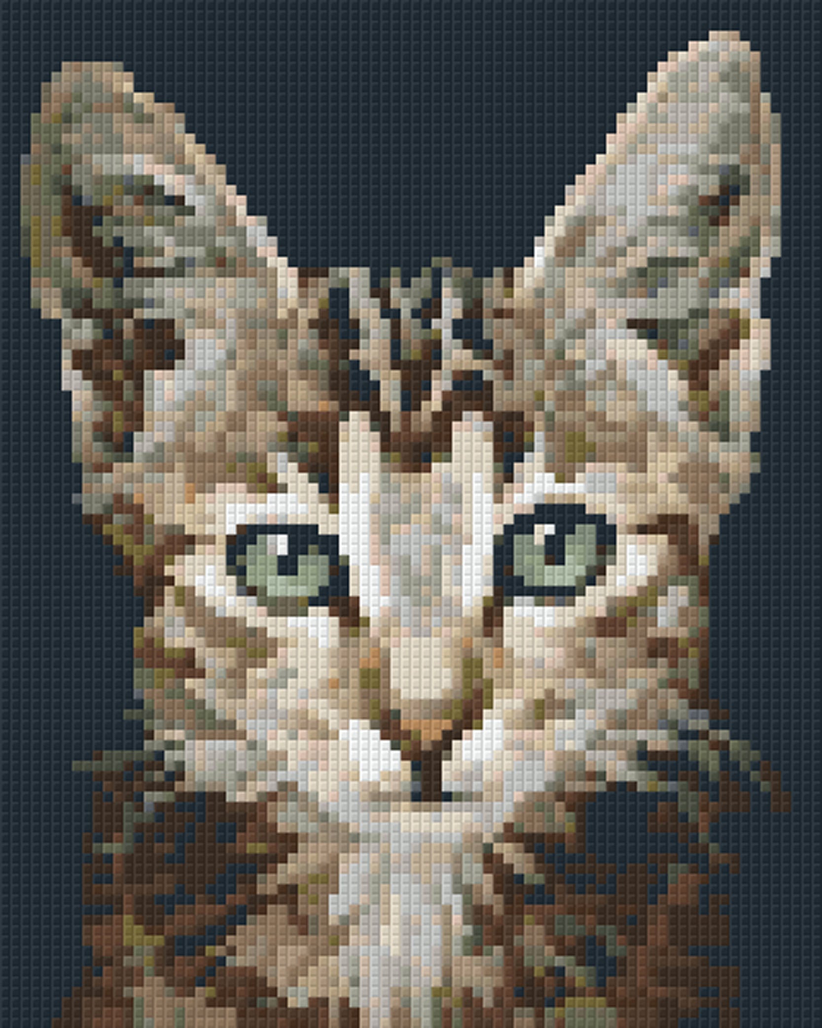 Kitten – Pixel Art USA