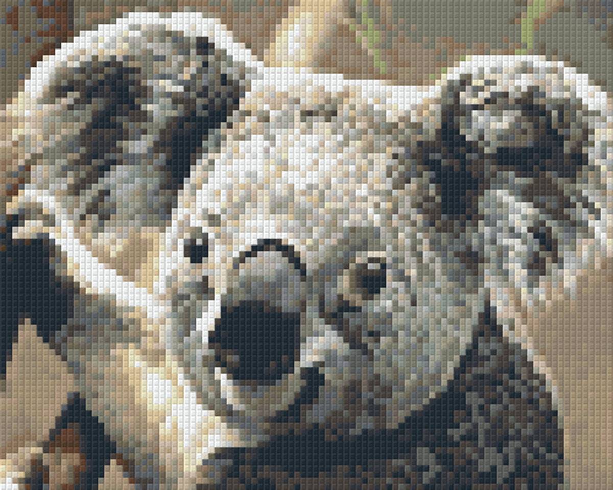 Koala Portrait – Pixel Art USA