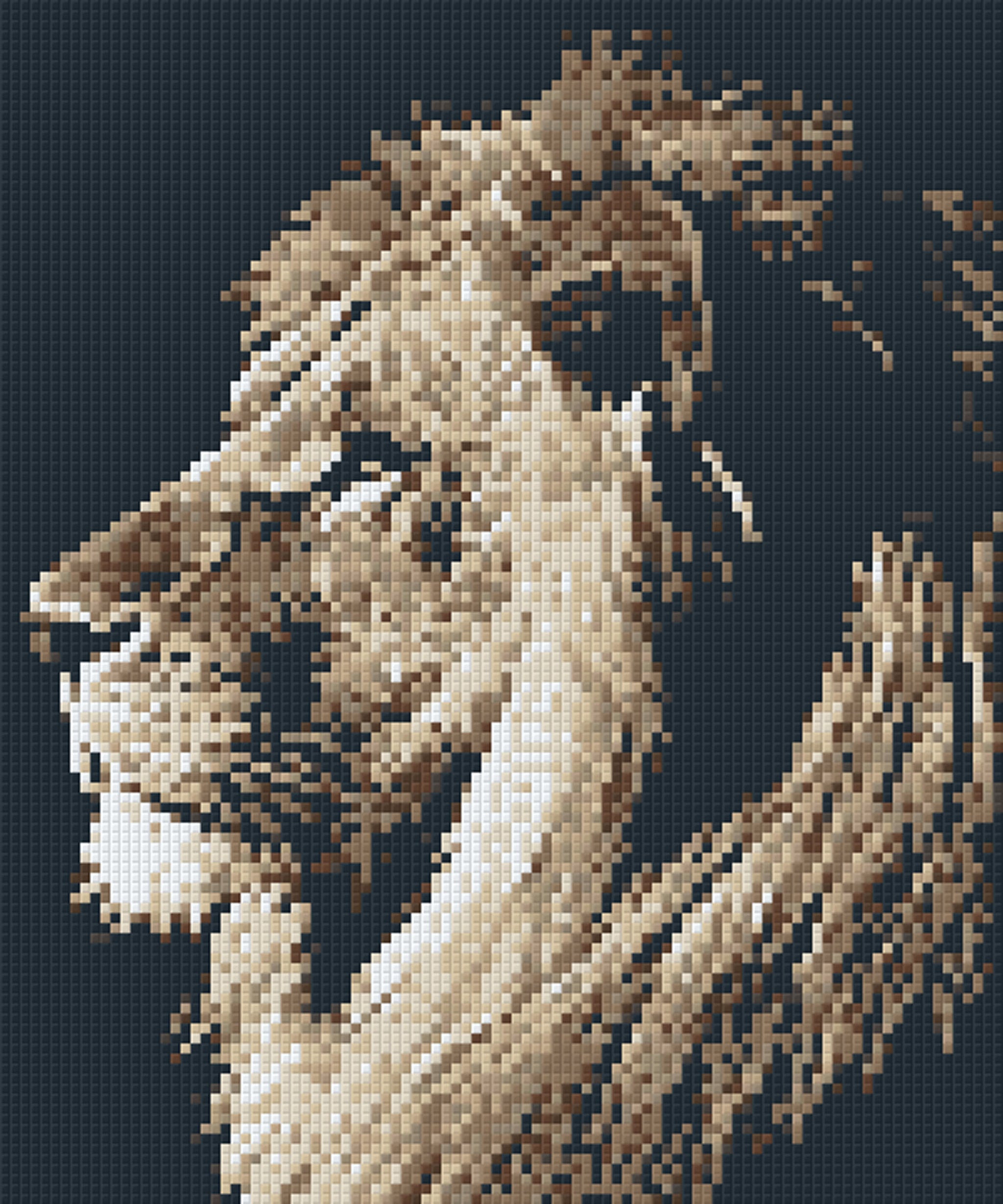Lion Profile – Pixel Art USA