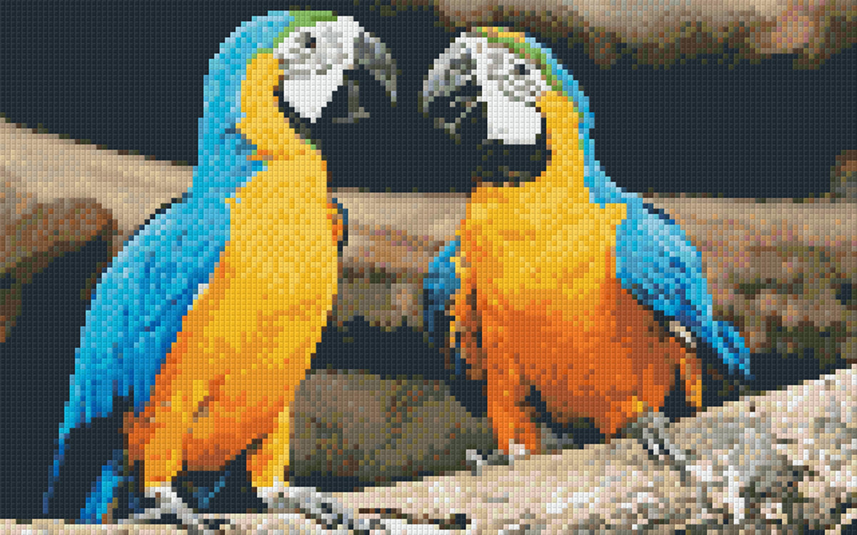 Blue and Yellow Macaws – Pixel Art USA