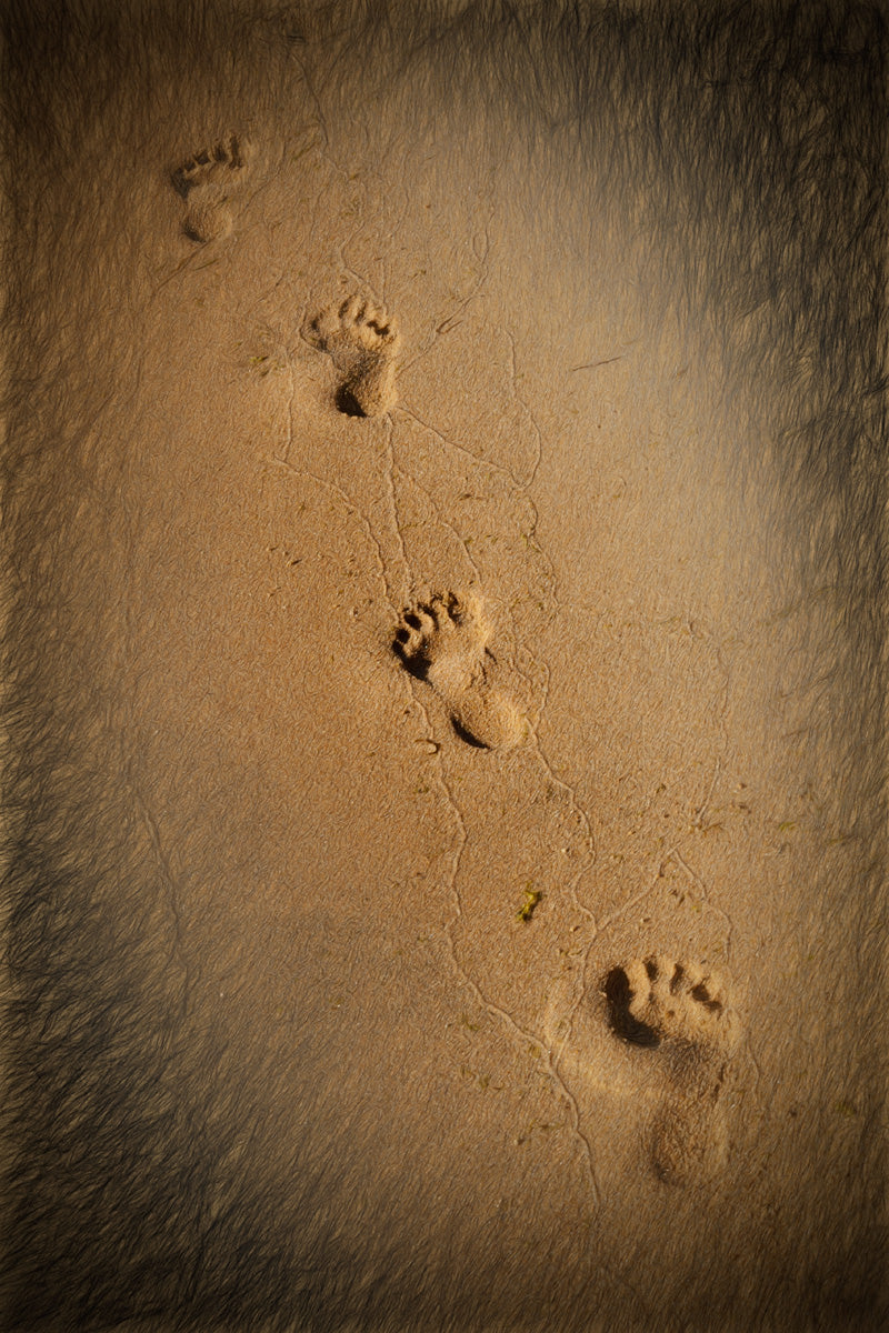 Footprints-Photo Credit Bruce Titus Fine Art Photography Reno, NV ...
