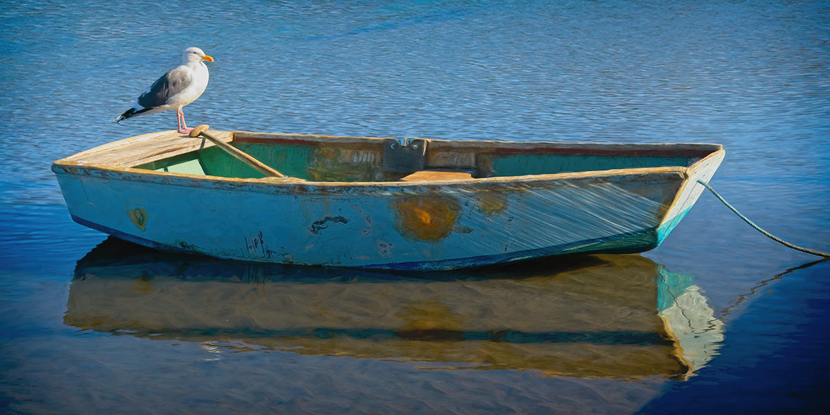 Gull on Dinghy- Photo credit-Bruce Titus Fine Art Photography Reno, NV ...