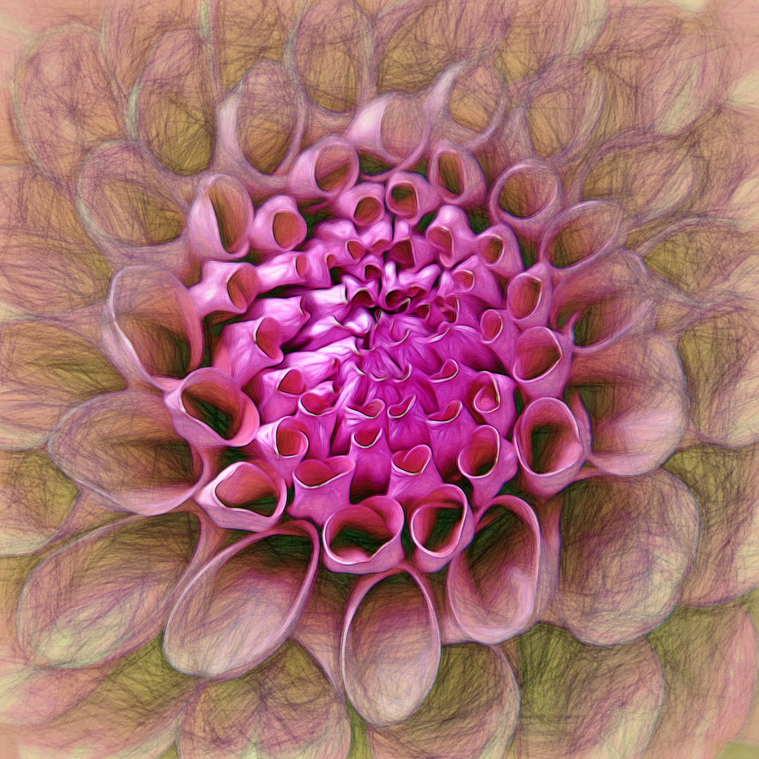 Purple Flower-Photo Credit Bruce Titus Fine Art Photography Reno, NV ...