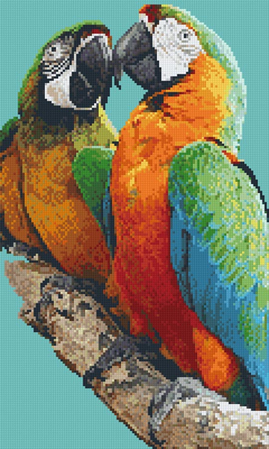 Macaws – Pixel Art USA