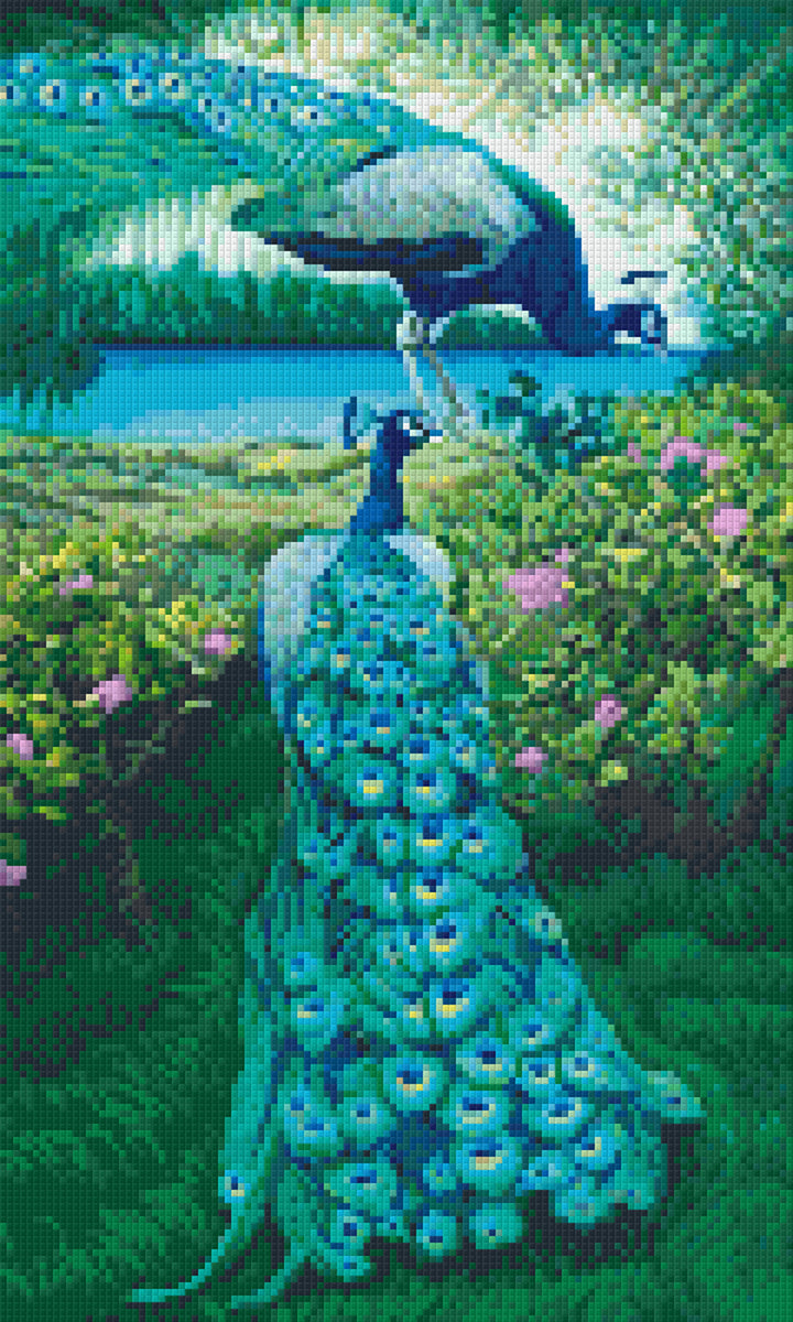 Peacocks – Pixel Art USA