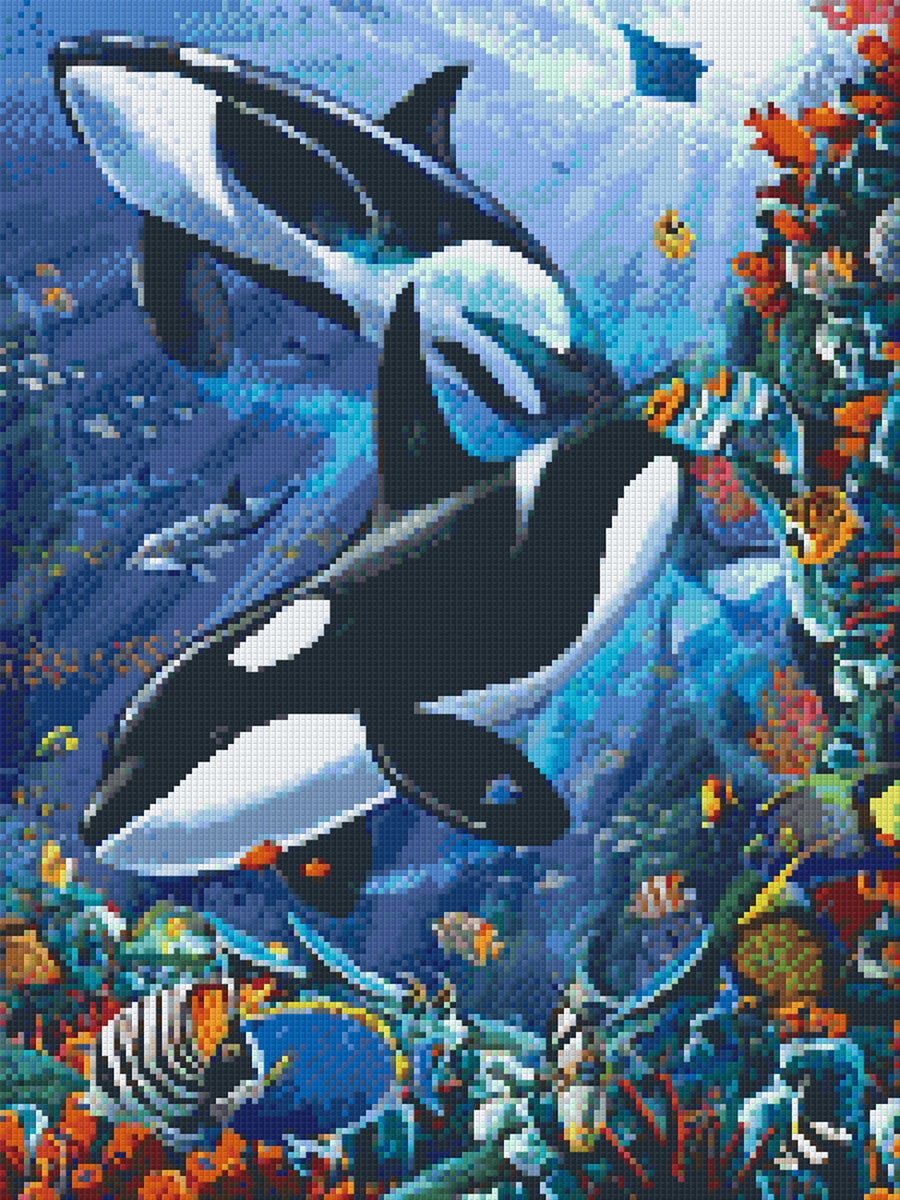 Orcas – Pixel Art USA