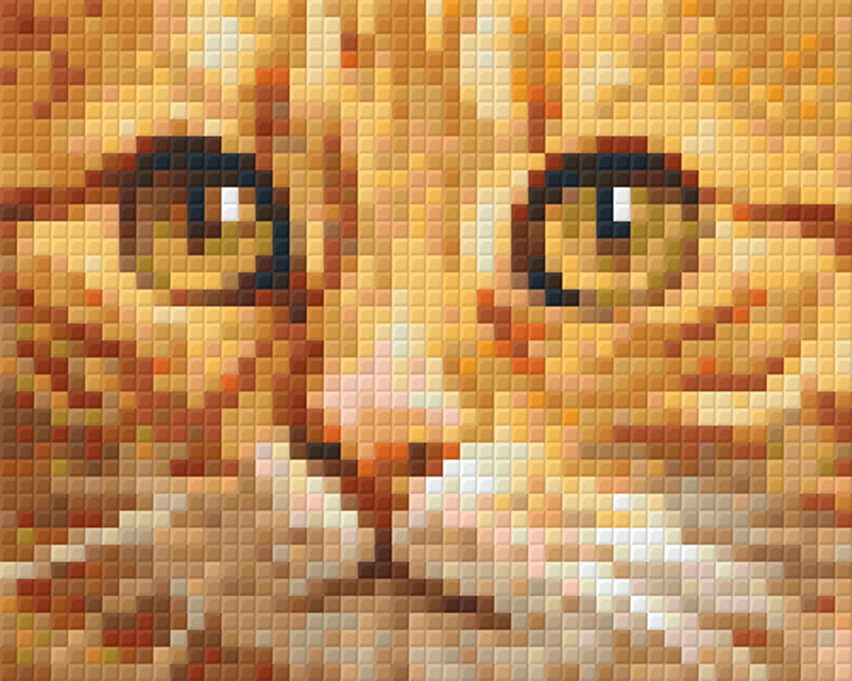 Ginger Cat – Pixel Art USA