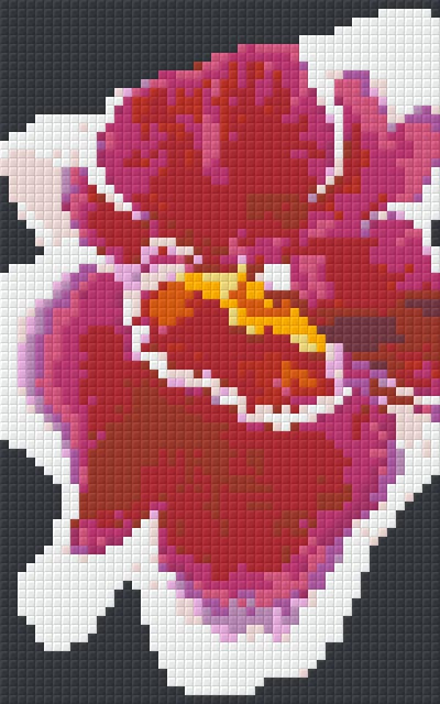 Red and White Orchid – Pixel Art USA