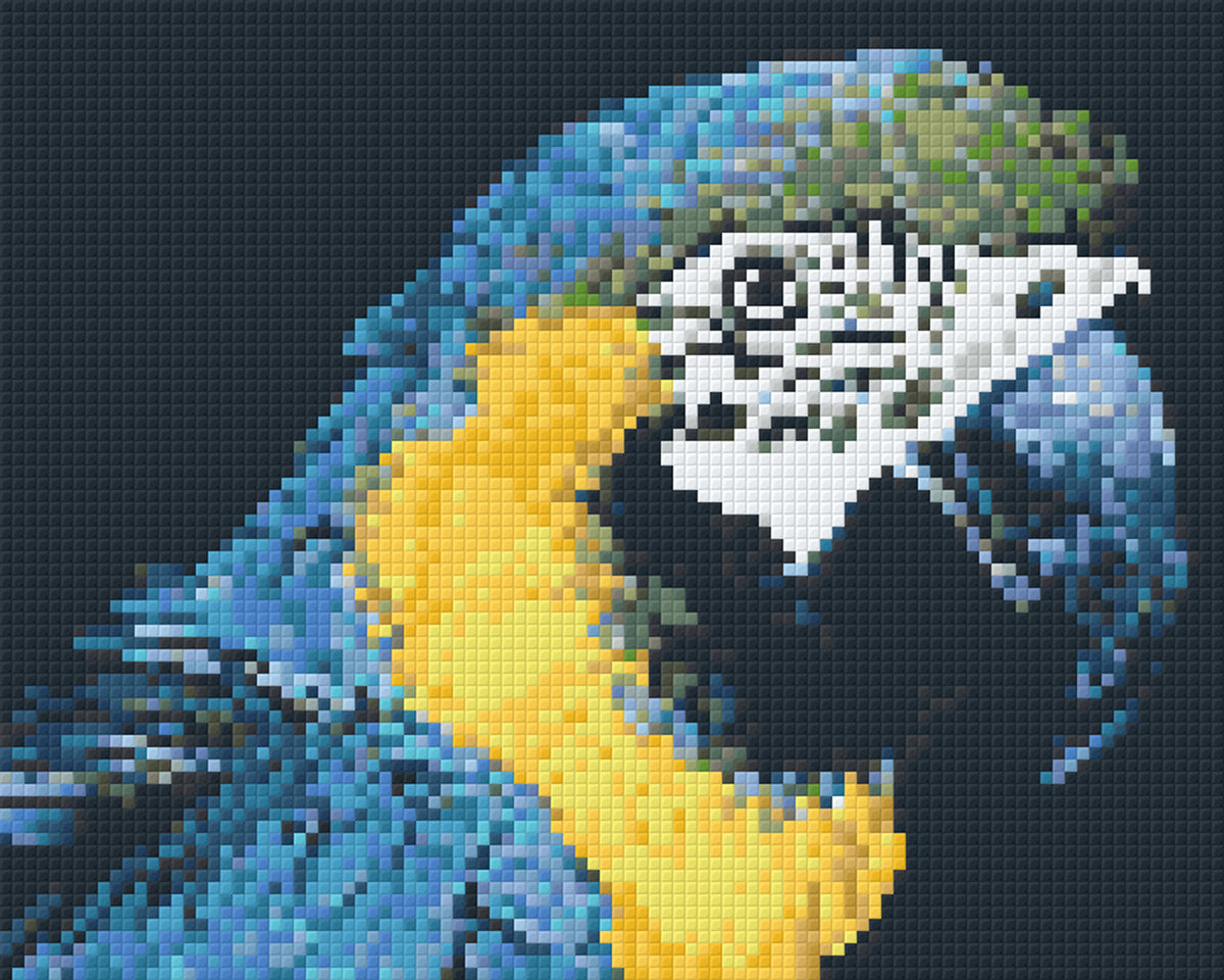 Blue and Yellow Macaw – Pixel Art USA