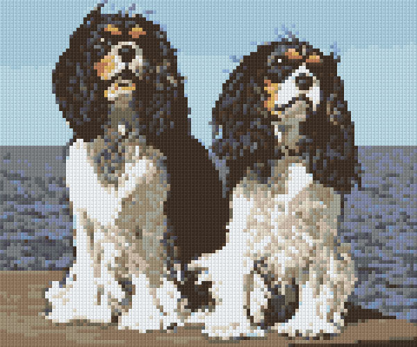 Cavalier King Charles – Pixel Art USA
