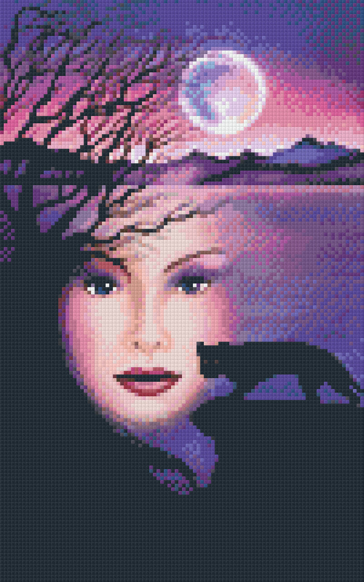 Moon Shadow – Pixel Art USA