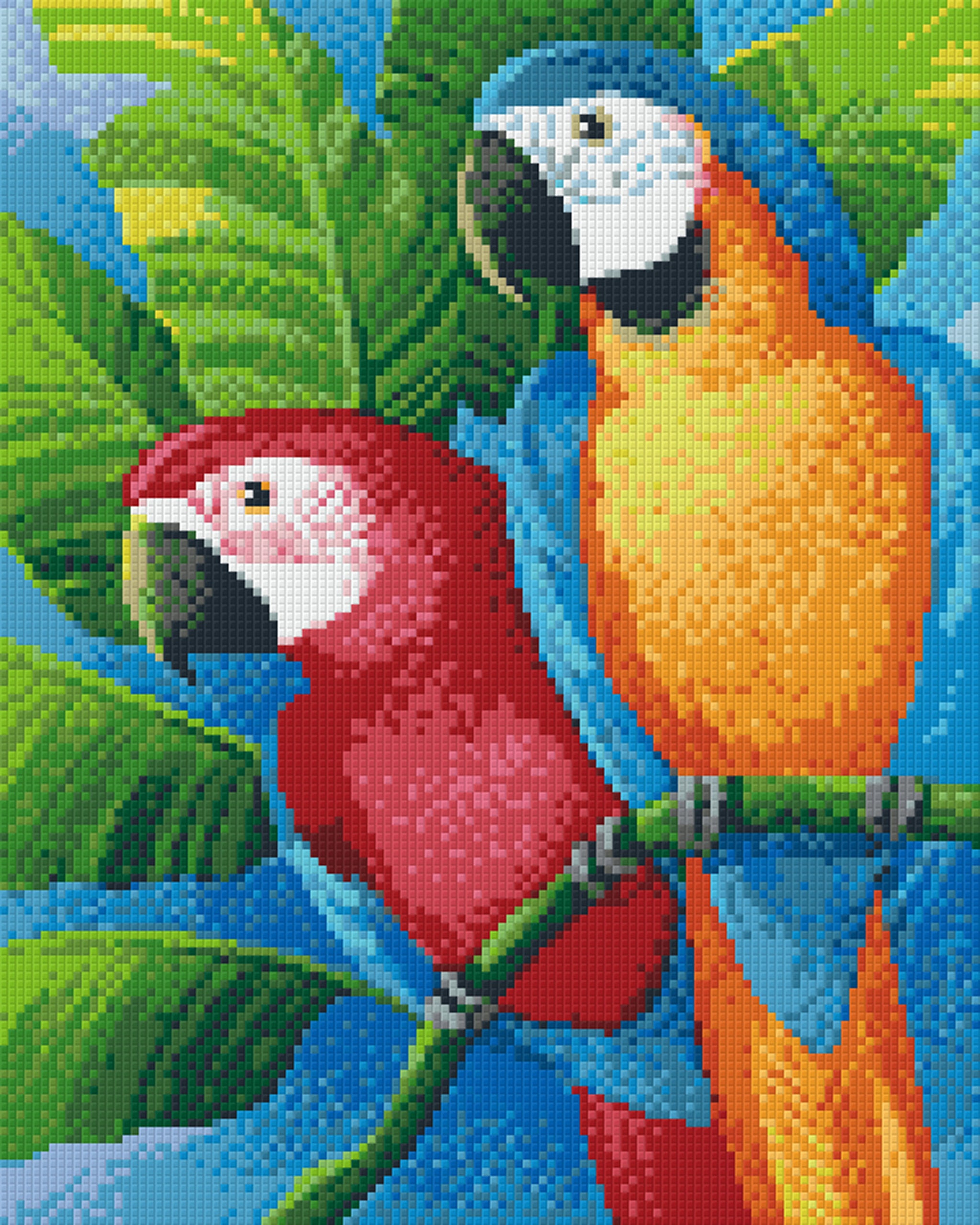 Parrots – Pixel Art USA