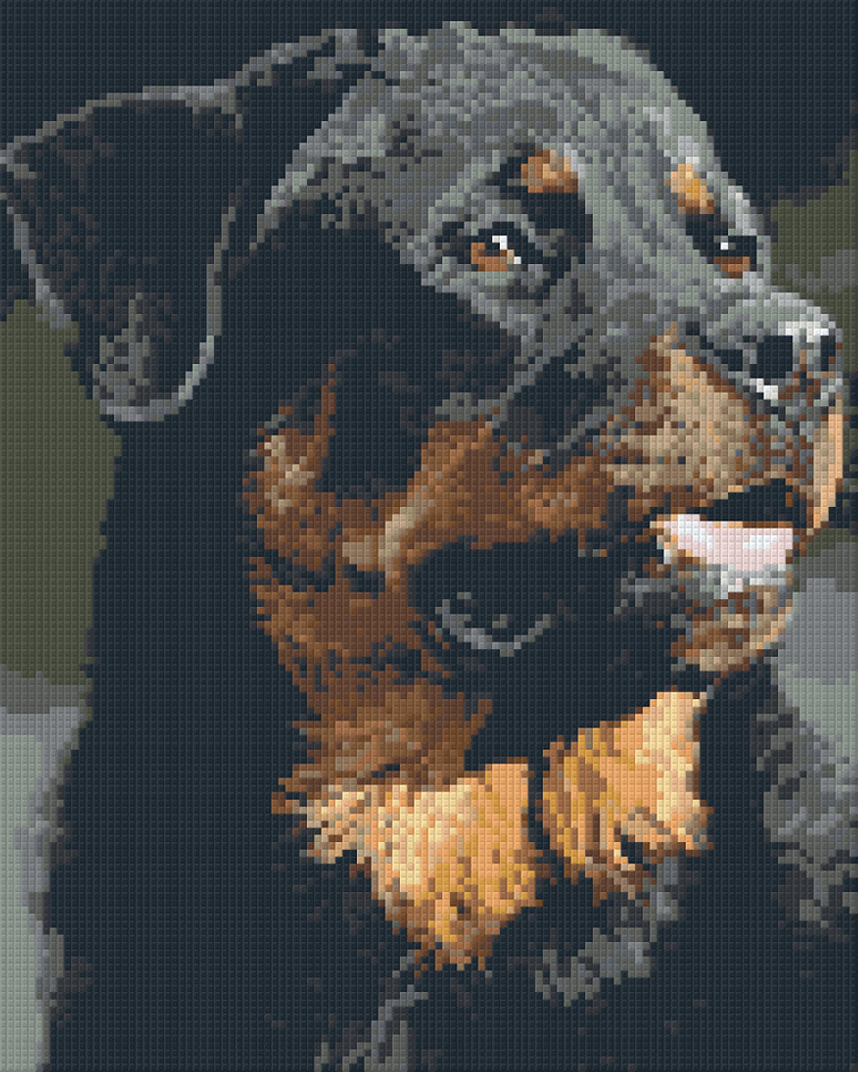 Rottweiler – Pixel Art USA