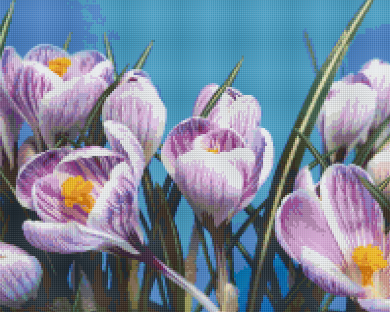 Crocus – Pixel Art USA