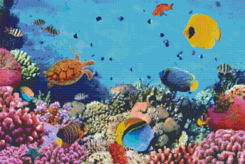 Fish Tank – Pixel Art USA