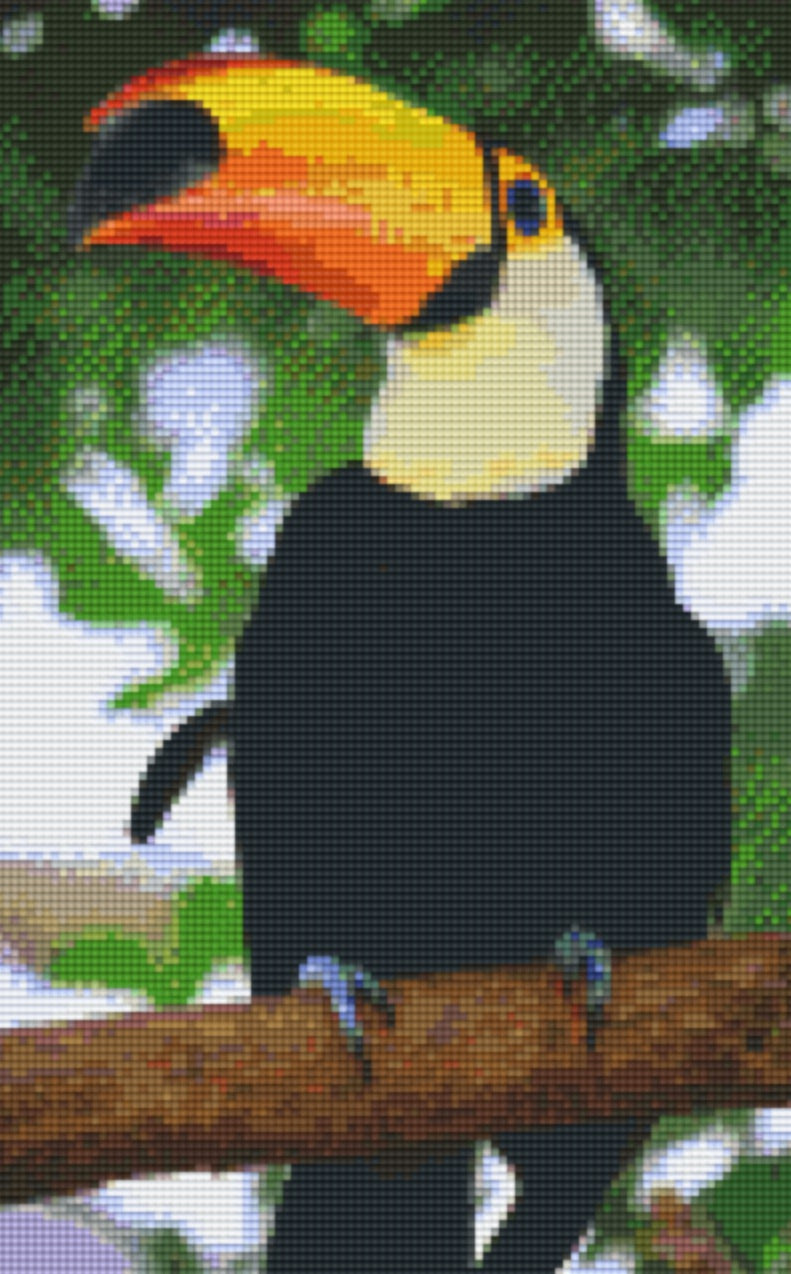 Toucan – Pixel Art USA